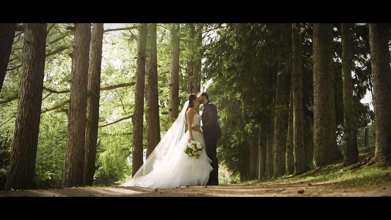 Hamilton Ancaster Mill Wedding Video of Tatiana & Clayton | SDE Weddings